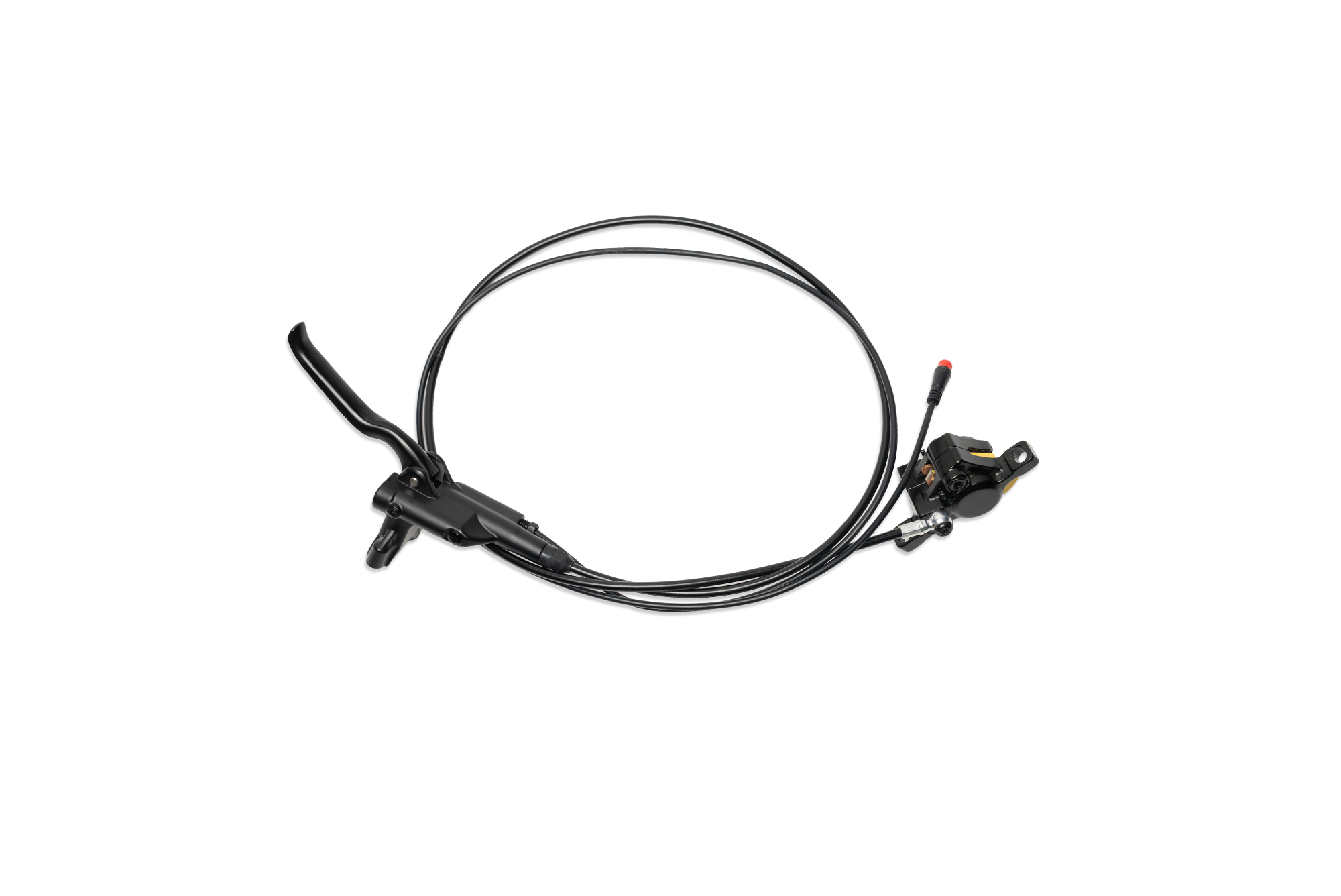 Brake Assembly – Antic Bikes
